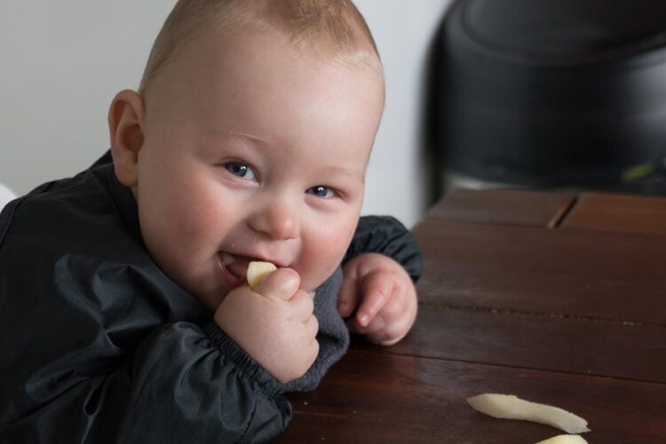Rapley-methode: je baby zelf vast voedsel laten ontdekken – 24Baby.nl
